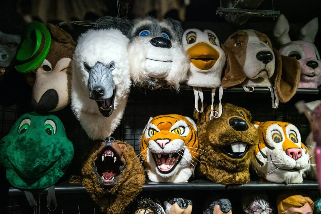 Animal Mascots Quiz: Which Random Animal Is Your Mascot? | QuizPin