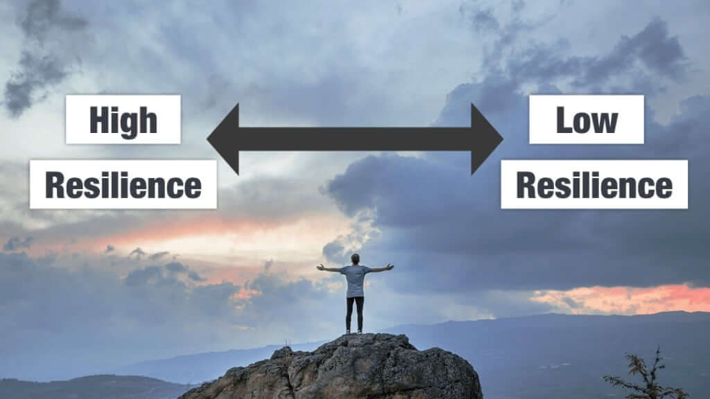 Resilience Test - Resilience Scale for Adults Questionnaire | QuizPin