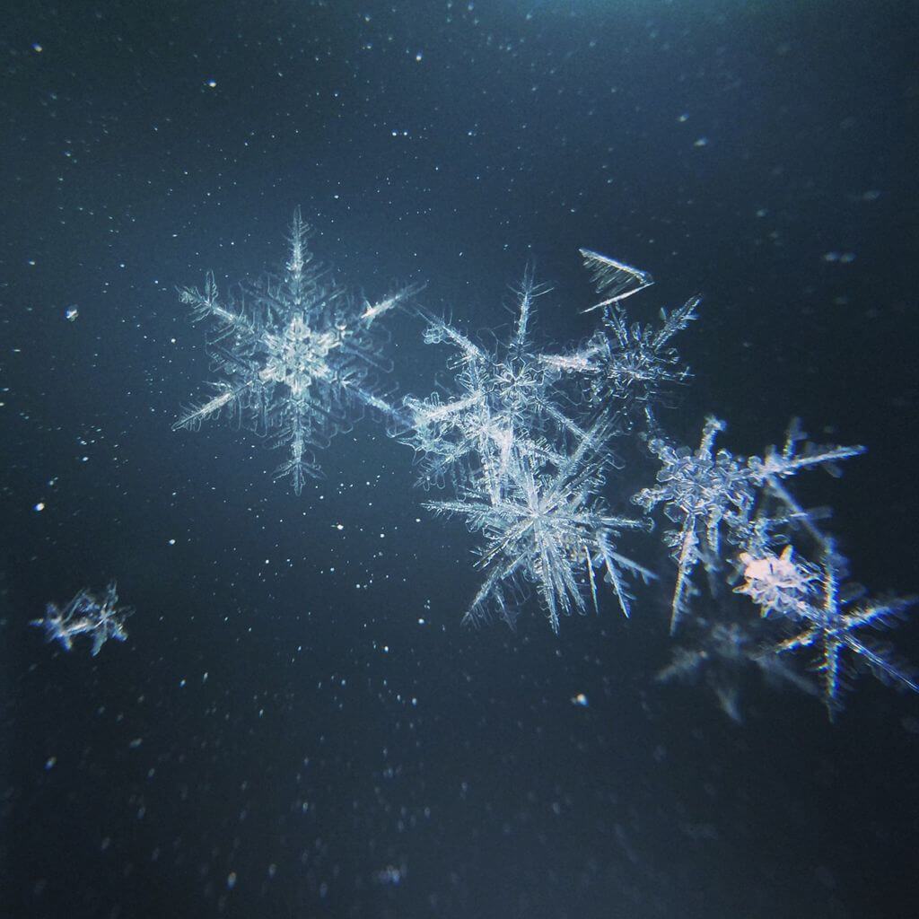 Snowflake Test - Are You a Snowflake? (2023 Quiz) | QuizPin