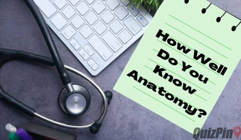 Human Anatomy Trivia - Pass The Hardest Anatomy Test | QuizPin