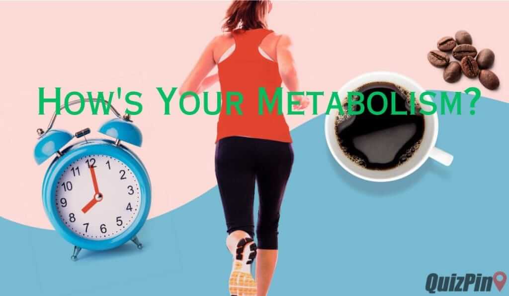 Metabolic Type Quiz - How Good Is Your Metabolism? | QuizPin